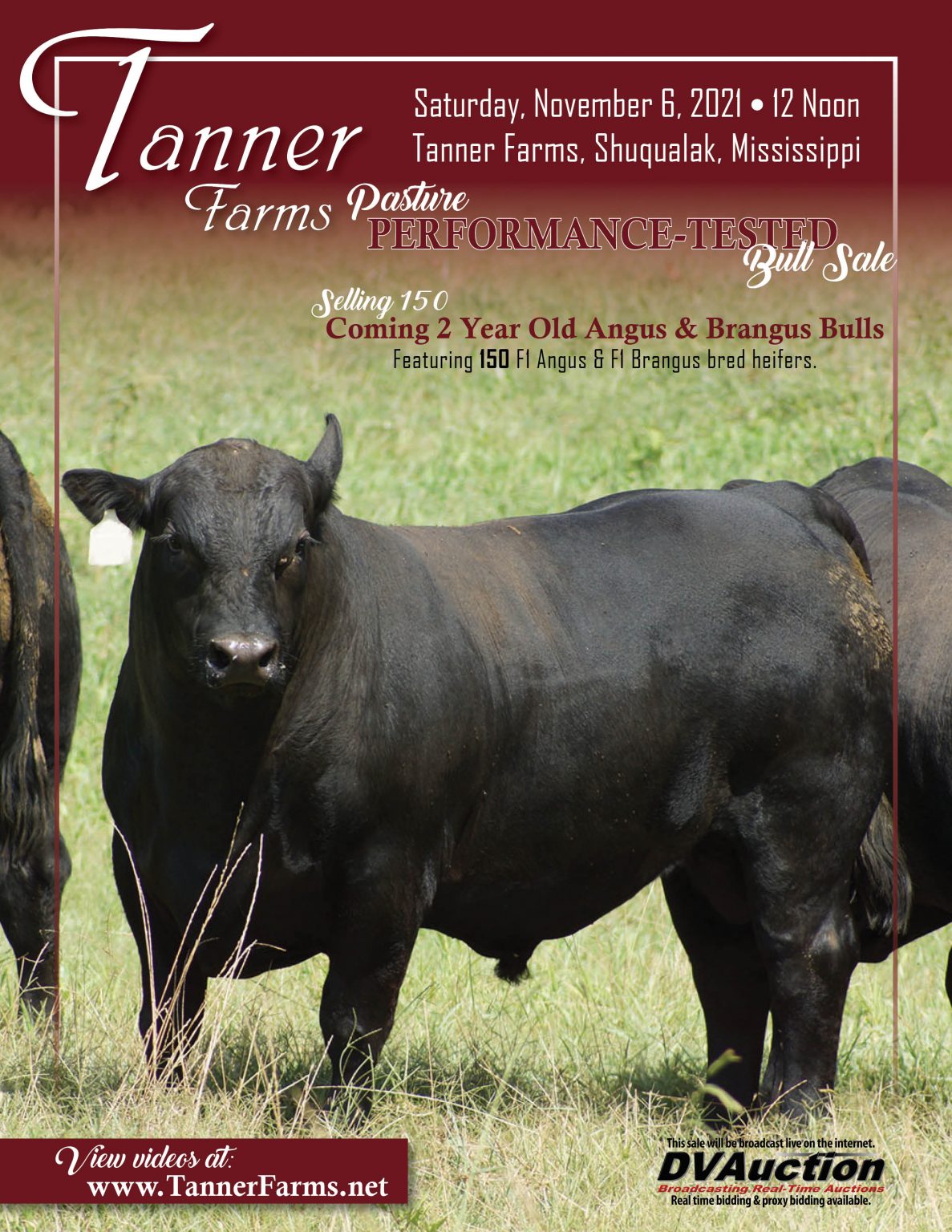 2021 Tanner Fall Sale – Tanner Farms