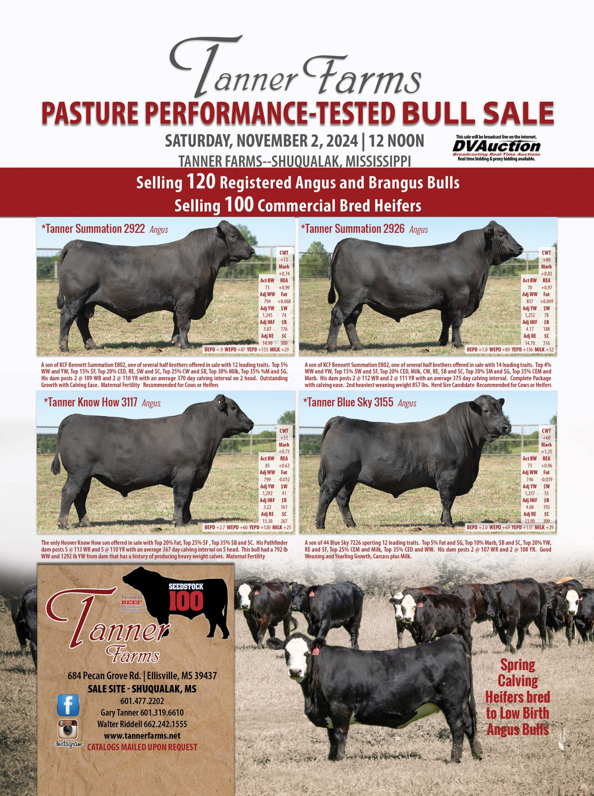 Tanner Farms – Pasture Performance Registered Angus Cattle