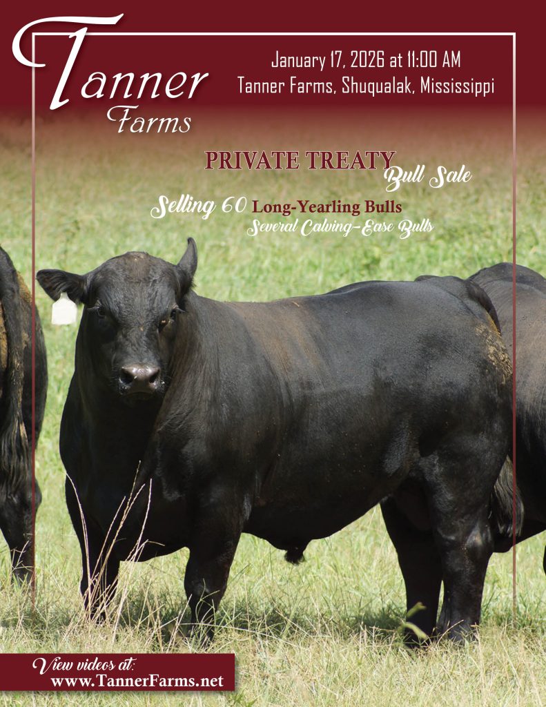 Tanner Farms – Pasture Performance Registered Angus Cattle