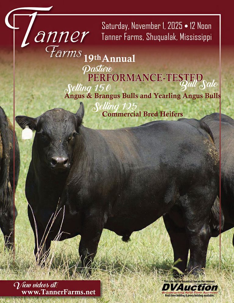 Tanner Farms – Pasture Performance Registered Angus Cattle